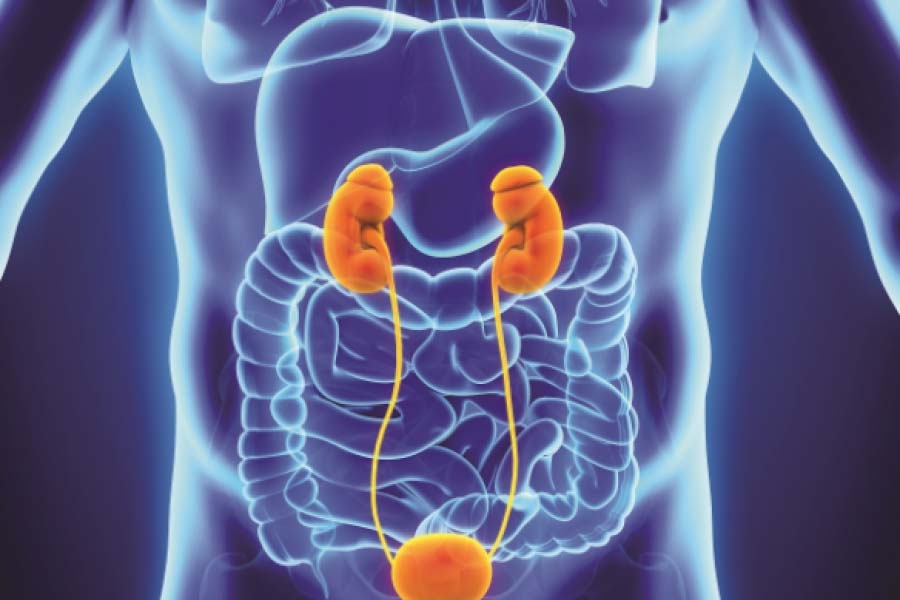 SPASITE BUBREGE NA VRIJEME: Kako uz pomoć sastojaka iz prirode ...