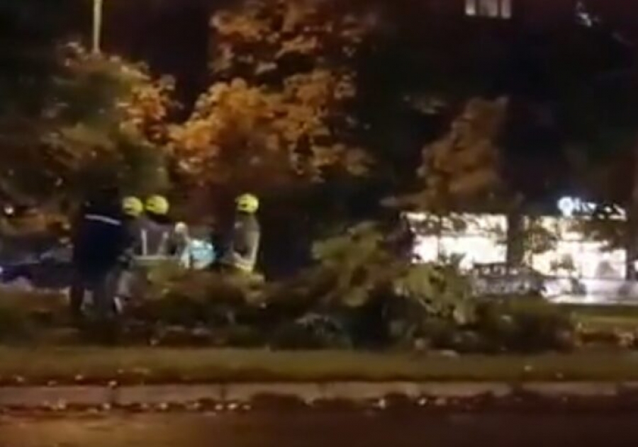 JAK VJETAR U SARAJEVU: Oboreno stablo na ulicu, jedna traka blokirana ...