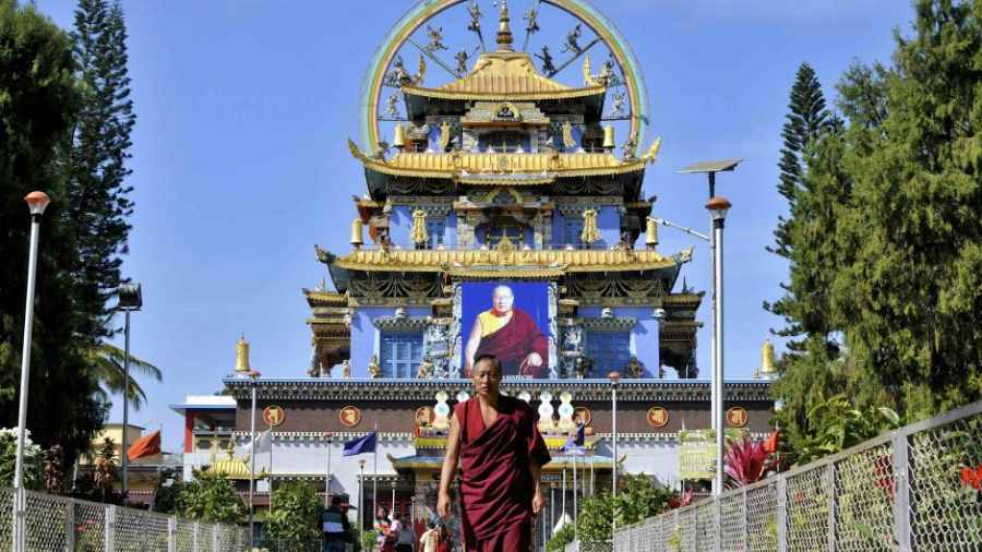 OD SVIJETLOG ZMAJA DO MONAHA U PRATNJI MAJMUNA: Pogledajte šta vam ...