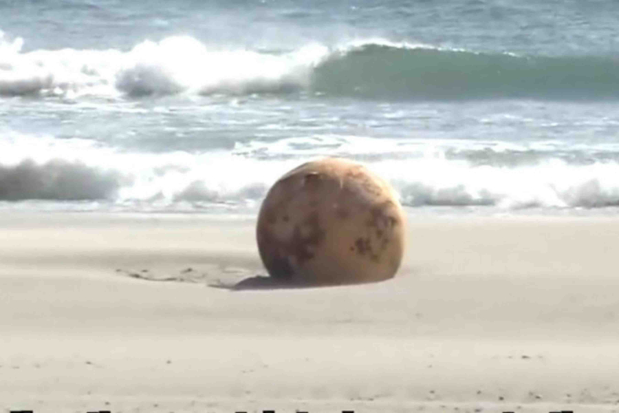 VEĆ SE RAZVIJAJU TEORIJE ZAVJERE: Misteriozna kugla se nasukala na japanskoj plaži | Slobodna Bosna