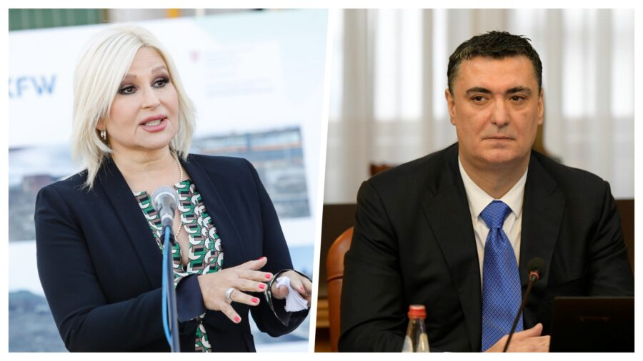 ZORANA MIHAJLOVIĆ O 'SLUČAJU' RADE BASTA: Prozvala je kompletnu Vladu ...
