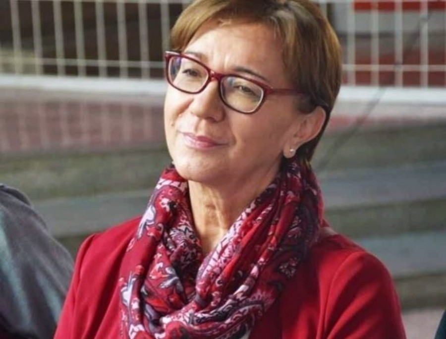 FERIDA DURAKOVIĆ ZA 'SB': 'Šta može Sanja Vlaisavljević napraviti kao ...