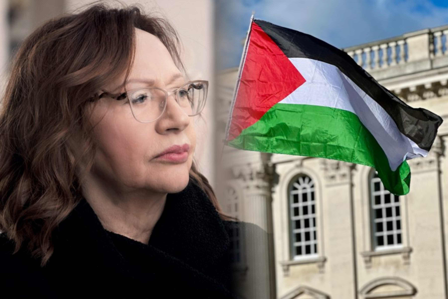 BRILJANTNA ANALIZA HRVATSKE NOVINARKE: Hoće li sad i zastava Palestine ...