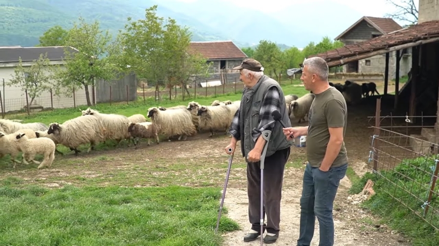 POZNATI JAJAČKI STOČAR NE KRIJE: Cijena od 12 KM za janje je malo ...