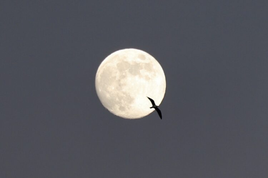 VEČERAS SE MOŽE VIDJETI RIJETKA POJAVA NA NEBU: Kada se Zemljina sjena ...