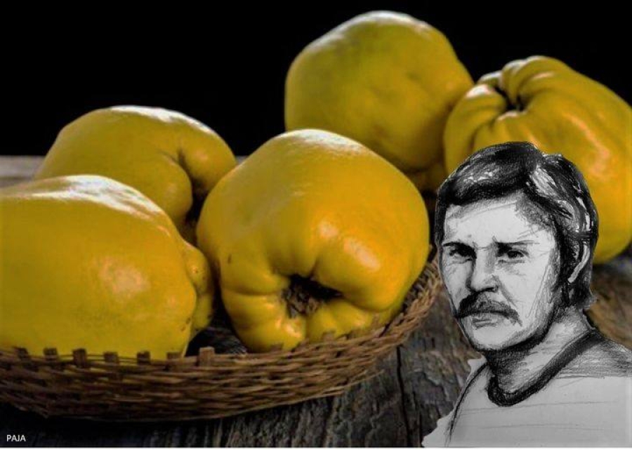 IZ OSOBNE, LIČNE ARHIVE PAVLA PAVLOVIĆA: Dunje na ormaru | Slobodna Bosna