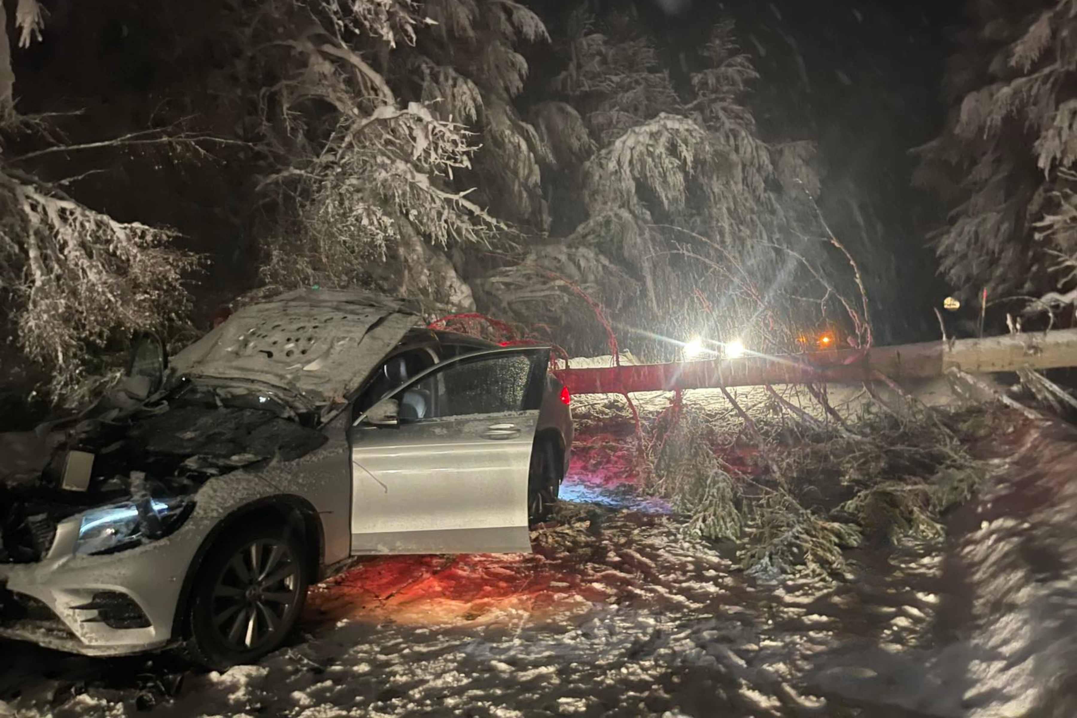 'SB' NA MJESTU NESREĆE: Na prijevoju Makljen ogromno stablo palo na ...