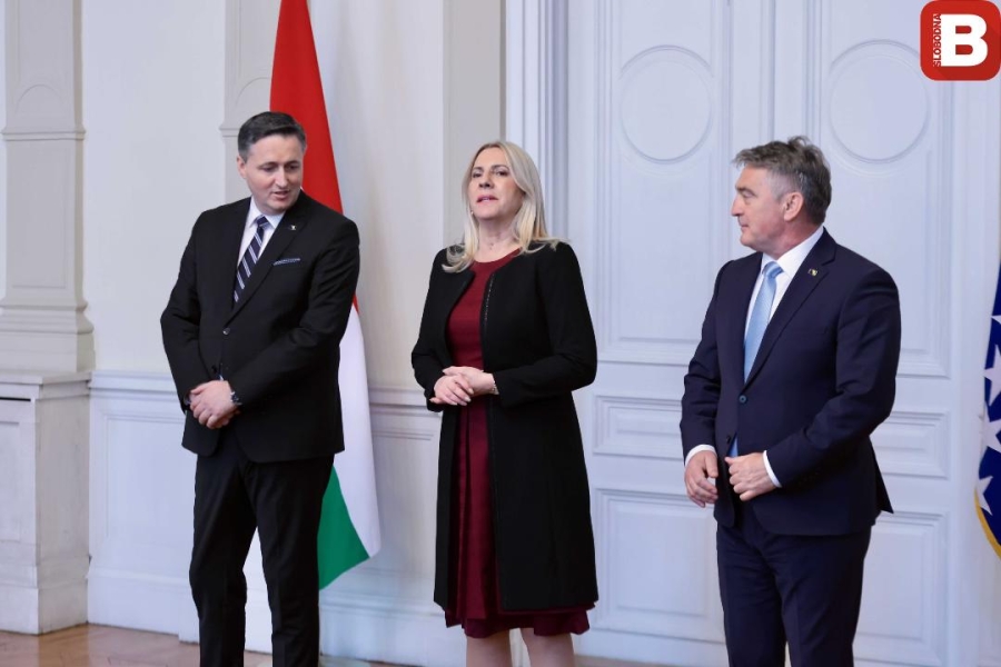 AMBASADORI I KONZULI BiH SRPSKE NACIONALNOSTI PISALI KOMŠIĆU I ...