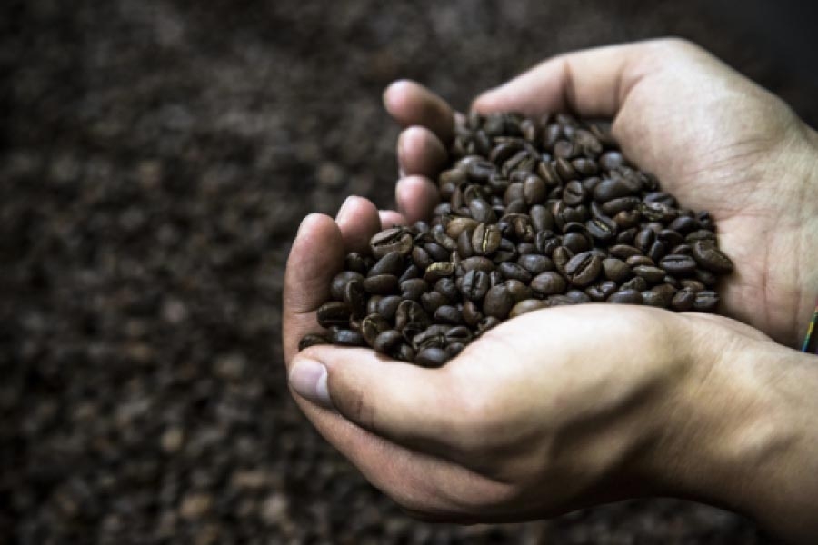 NOVO NENORMALNO: Kilogram kafe skuplji od 25 kilograma brašna, ali ni ...