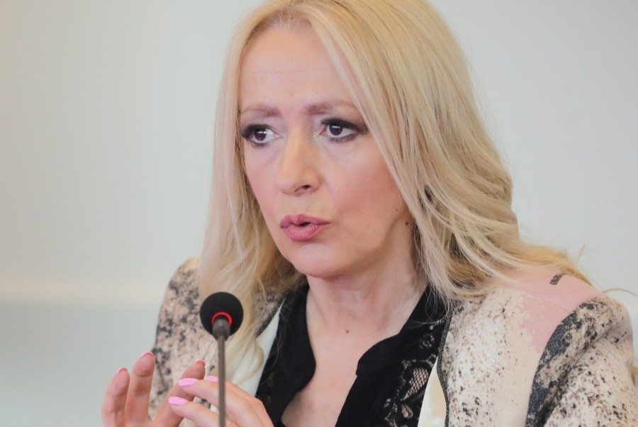 OŠTRA REAKCIJA ALEKSANDRE PANDUREVIĆ: 'Dva dobra prijatelja Schmidt i ...