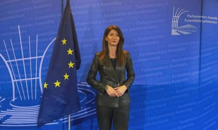 DRŽAVNA ZASTUPNICA DARIJANA FILIPOVIĆ SE JAVILA IZ STRASBOURGA ...