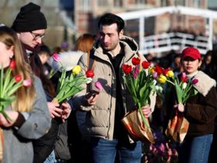 KAO DA NISMO U ZIMI: Podijeljeno 200 hiljada tulipana | Slobodna Bosna